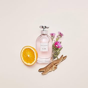 Perfume World - Coach Dream